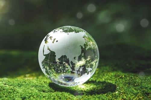 Meio Ambiente - Neoenergia