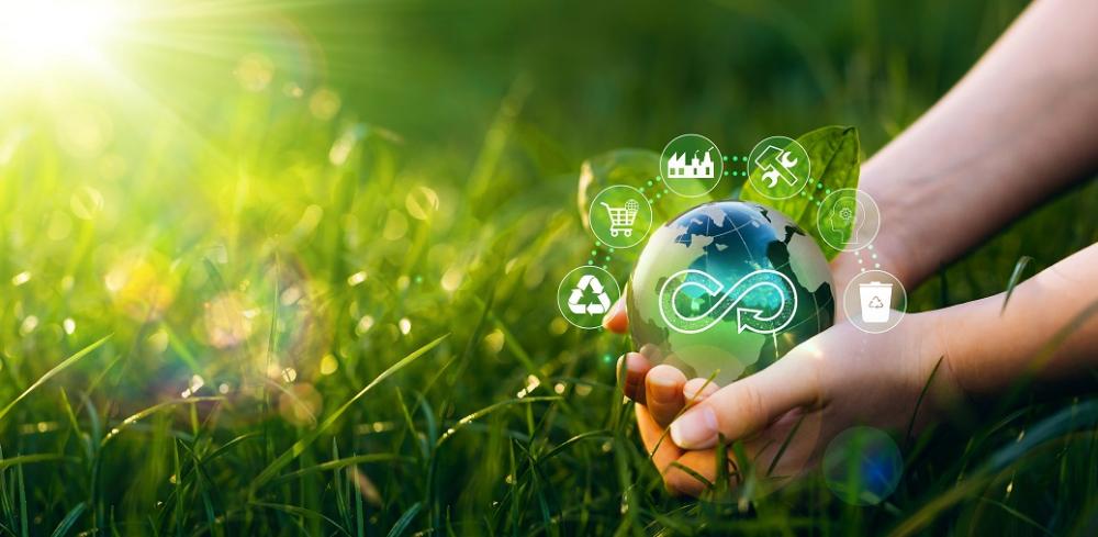 Economia Circular - Neoenergia